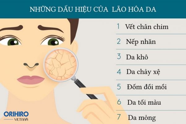 Tiết lộ cách chăm sóc da mặt bị lão hóa vô cùng hiệu quả